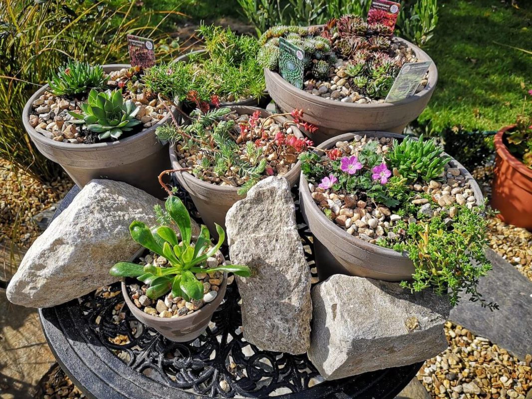 Farr Gardens – Design • Landscape • Maintain